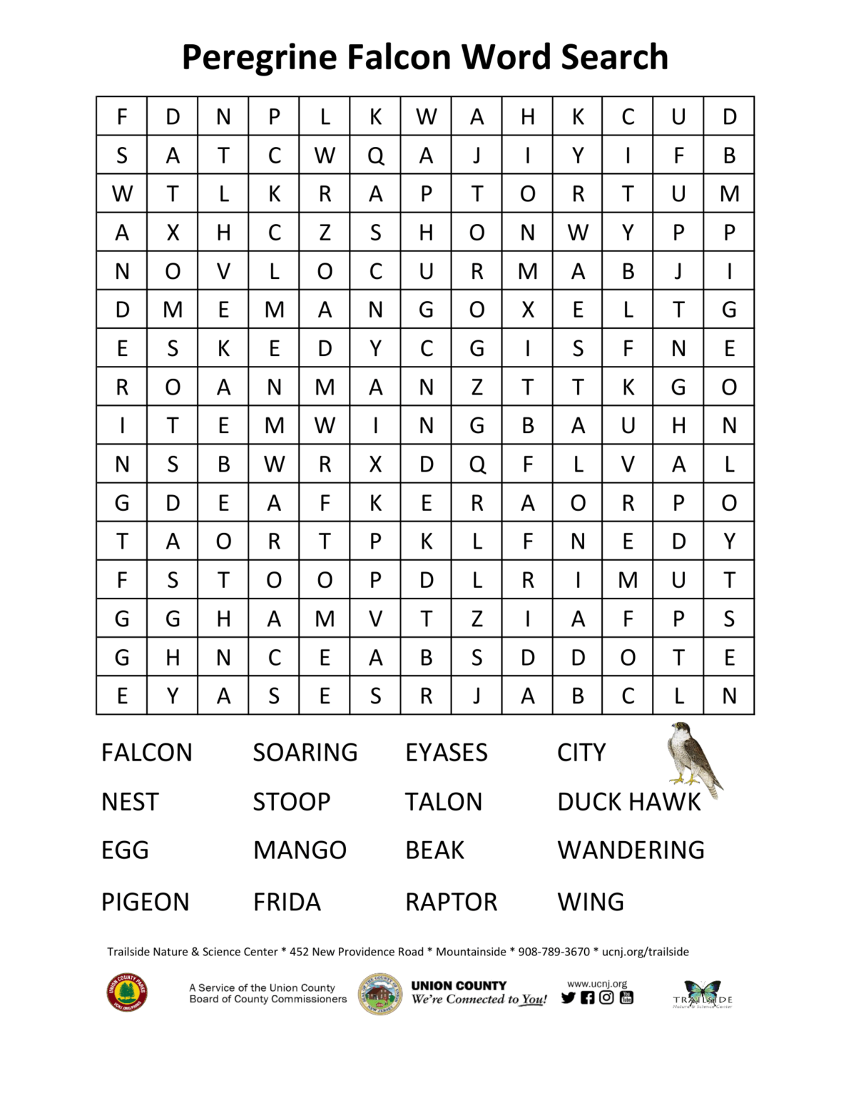 Kids Korner – Union County Falcon Camera