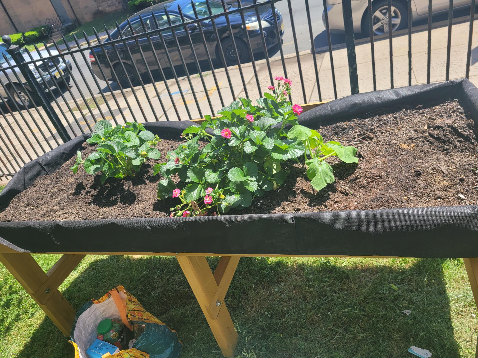 JVJ STEM Academy in Elizabeth – Union County Plant A Seed Blog