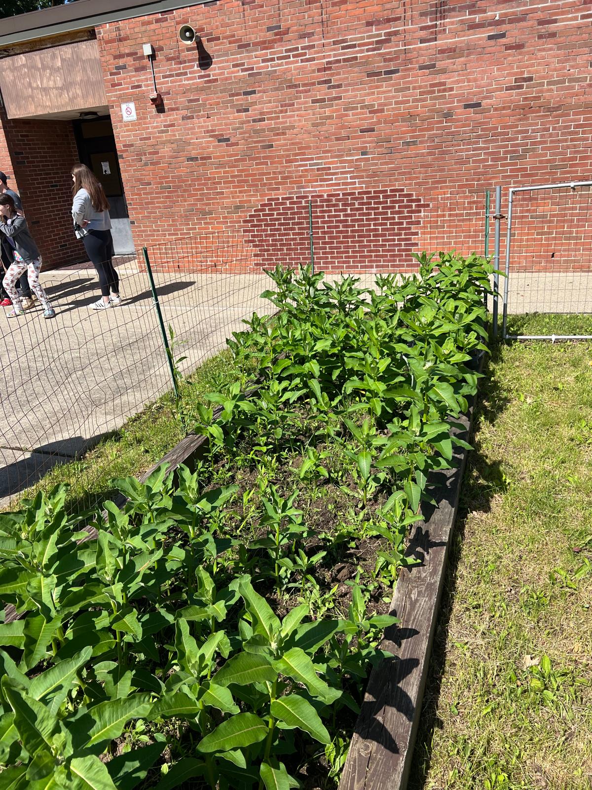 Morris-Union Jointure Commission – Union County Plant A Seed Blog