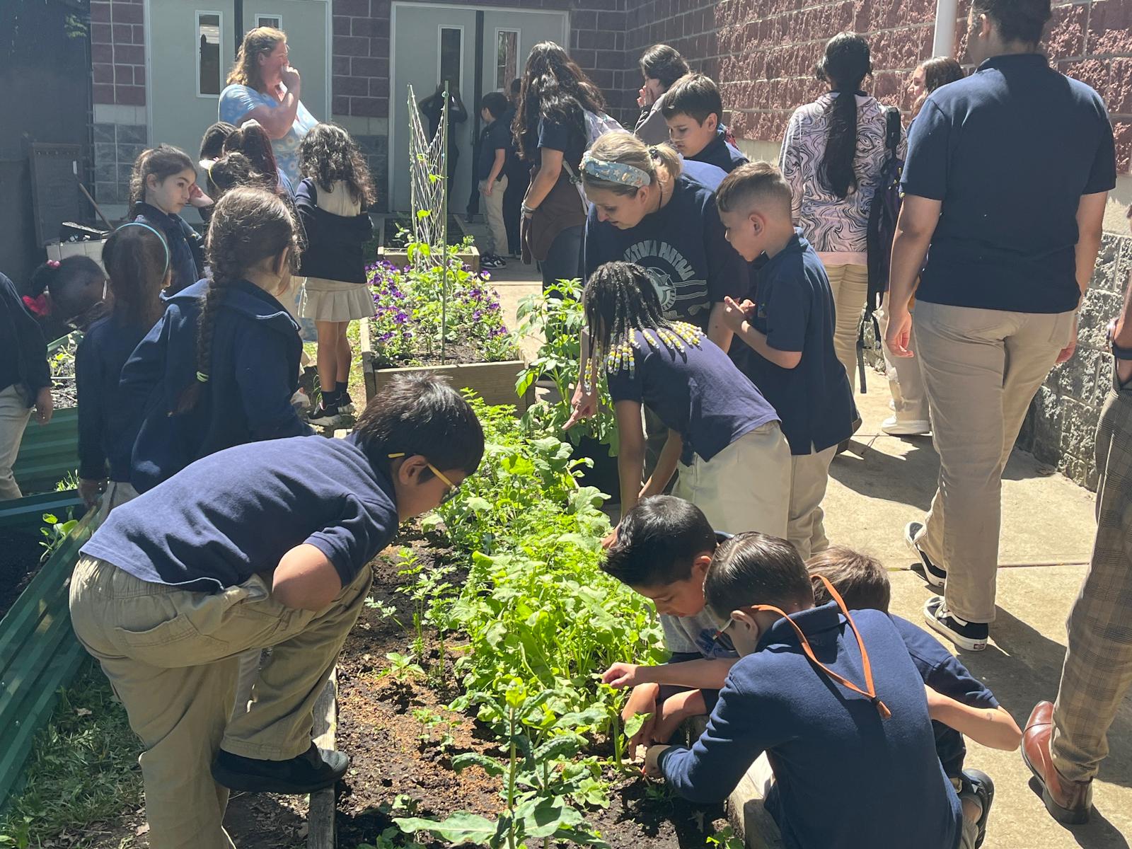 Blog Entries – Page 2 – Union County Plant A Seed Blog