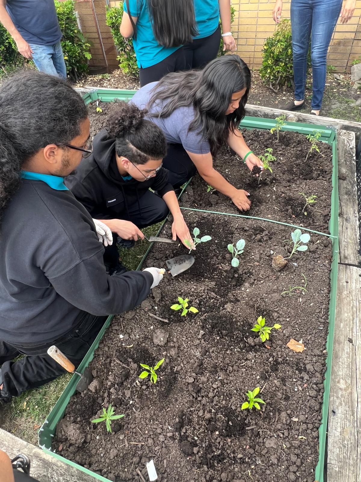 Thomas Edison Career and Technical Annex- Elizabeth – Union County Plant A Seed Blog