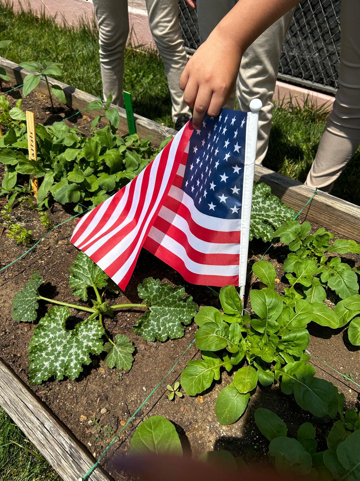 Elmora School No. 12- Elizabeth – Union County Plant A Seed Blog