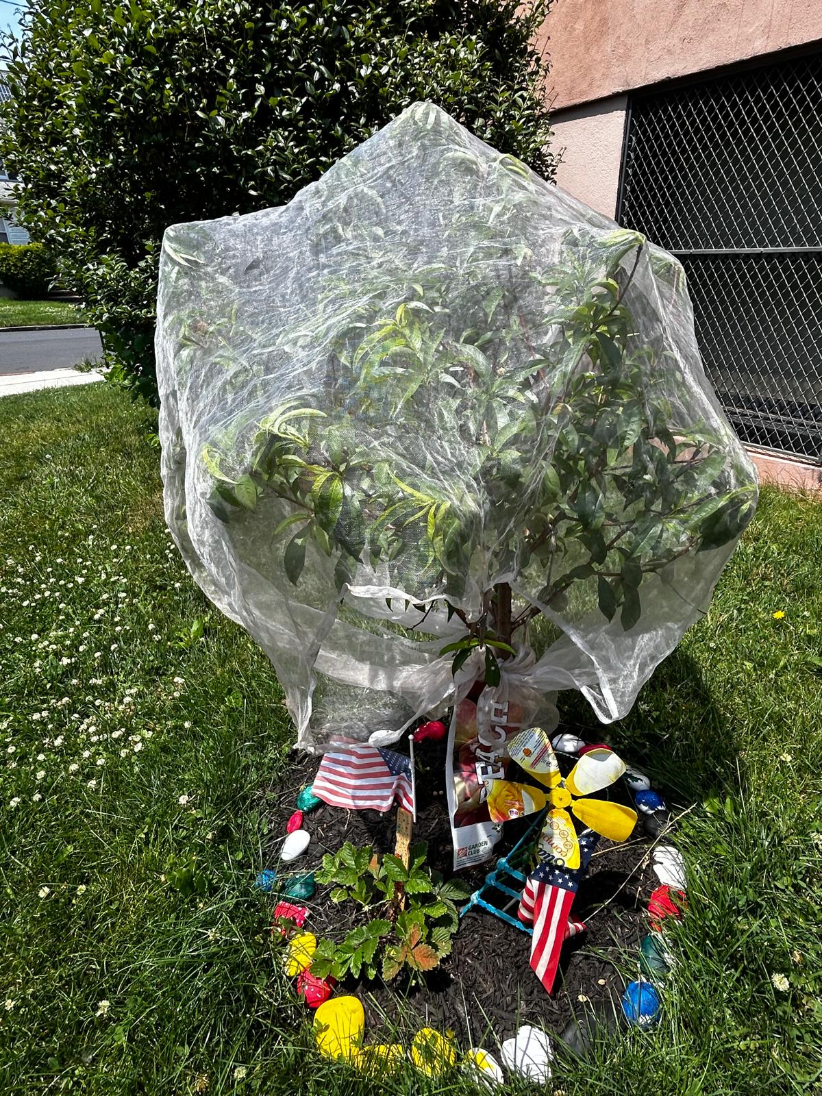 Elmora School No. 12- Elizabeth – Union County Plant A Seed Blog