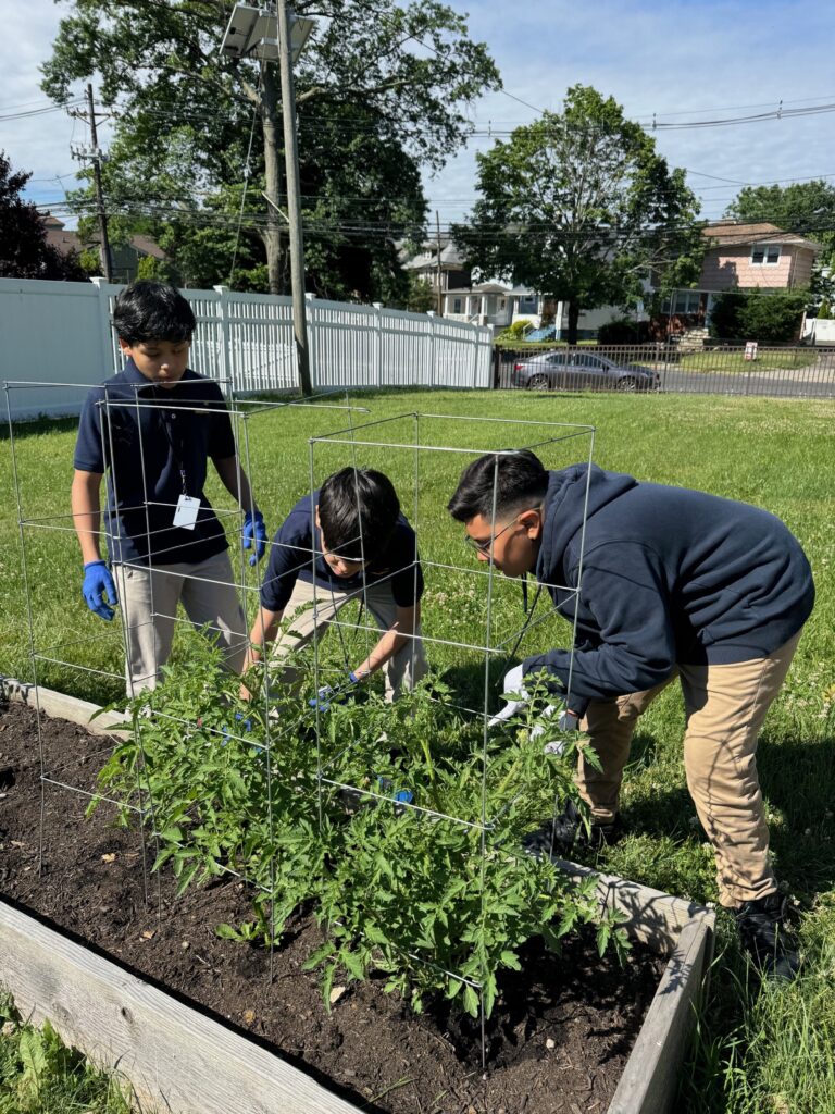 Blog Entries – Union County Plant A Seed Blog