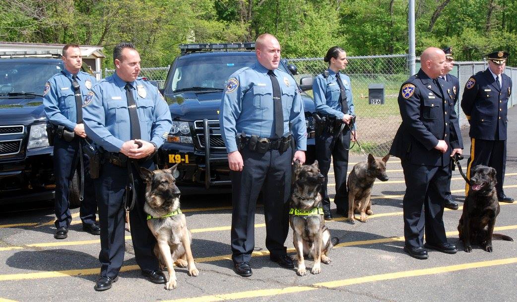 Union County Sheriff’s K-9 Lorcan Remembered at Memorial Service ...