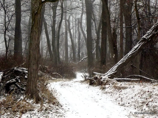 winter scene at lake surprise Union County NJ – County of Union