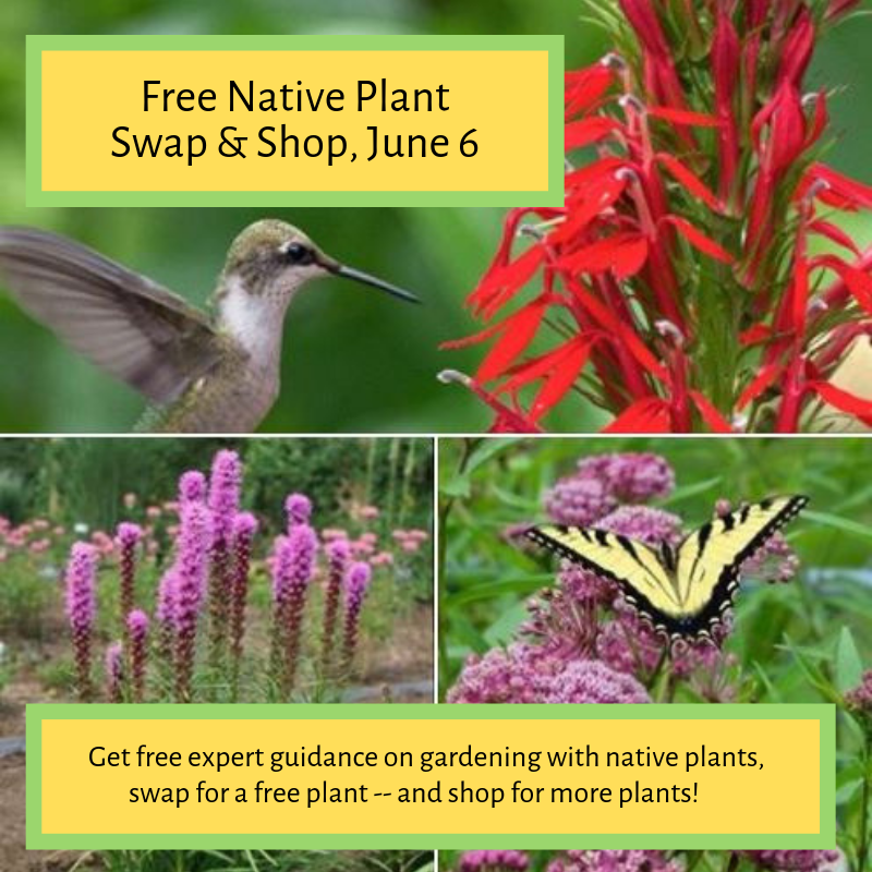 Free _Native Plant Swap &Shop,_ June 6 (1) – County of Union