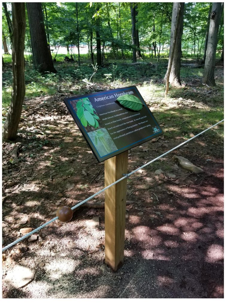 Sensory Trail Photos – County of Union, New Jersey
