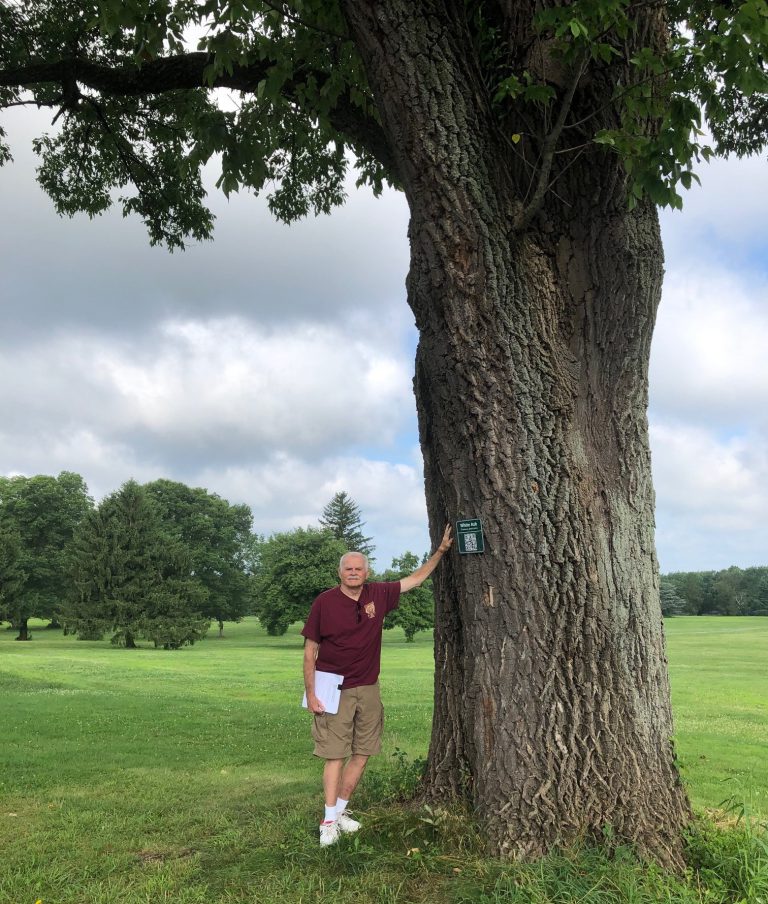 Tree Trails in Union County Parks – County of Union, New Jersey