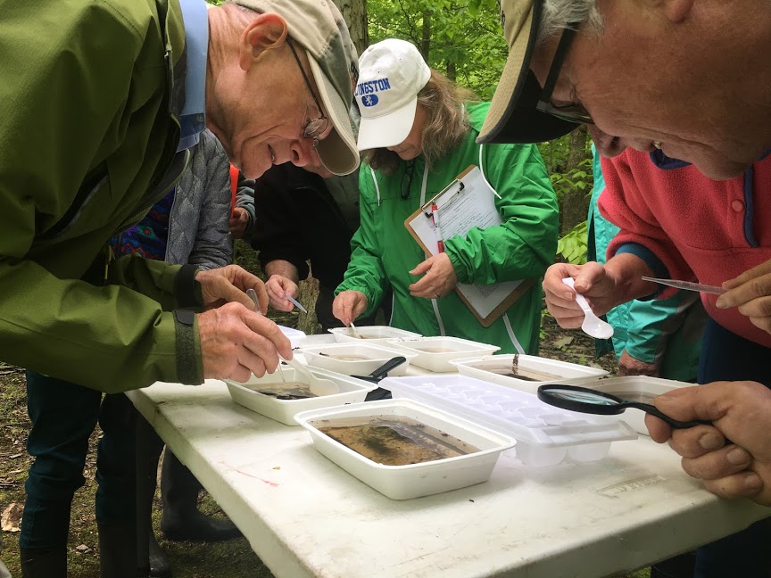 Think Globally, Act Locally: New Environmental Training Series Begins ...