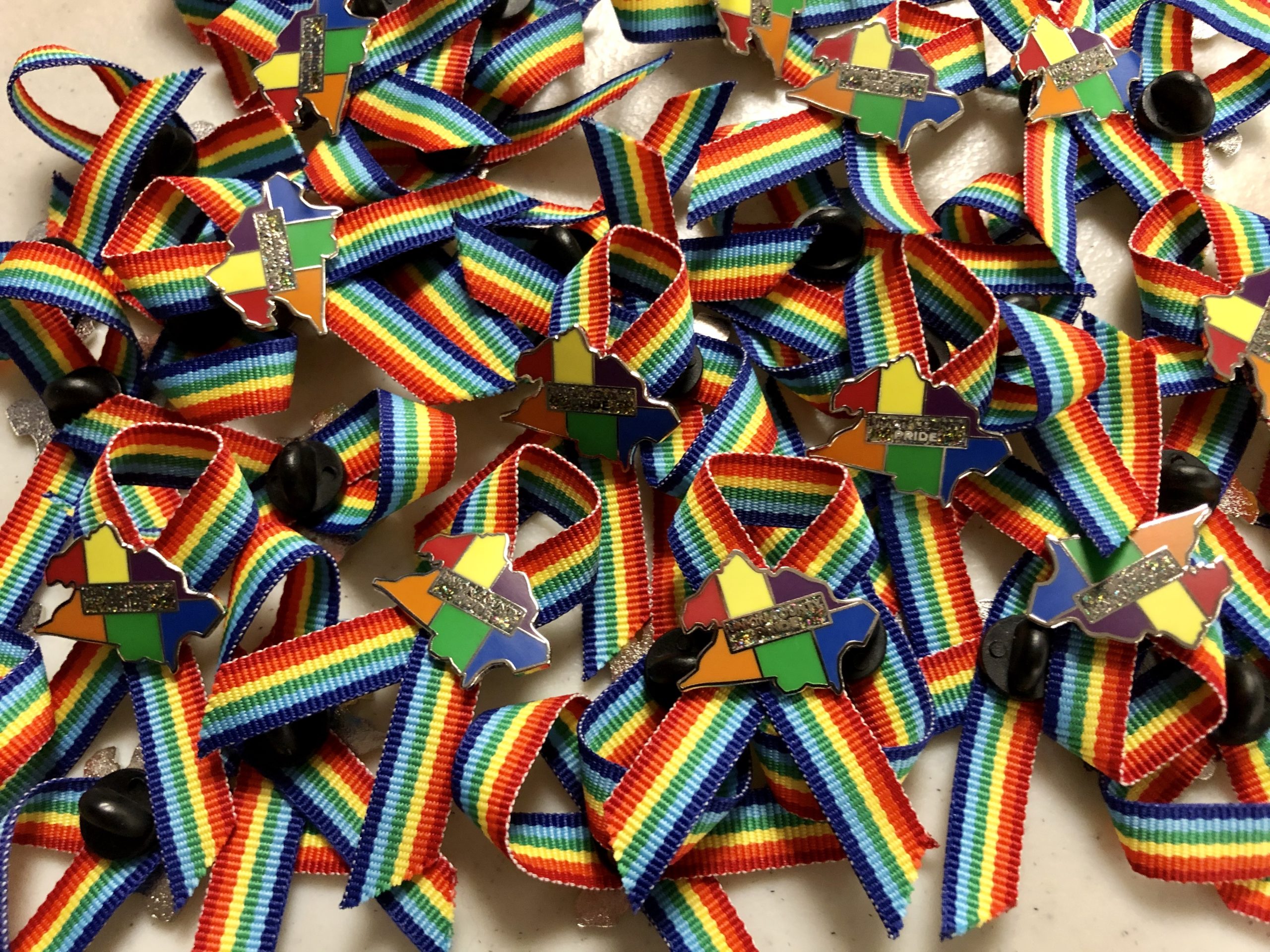 Union County Inclusive Schools Presentation – County of Union, New Jersey