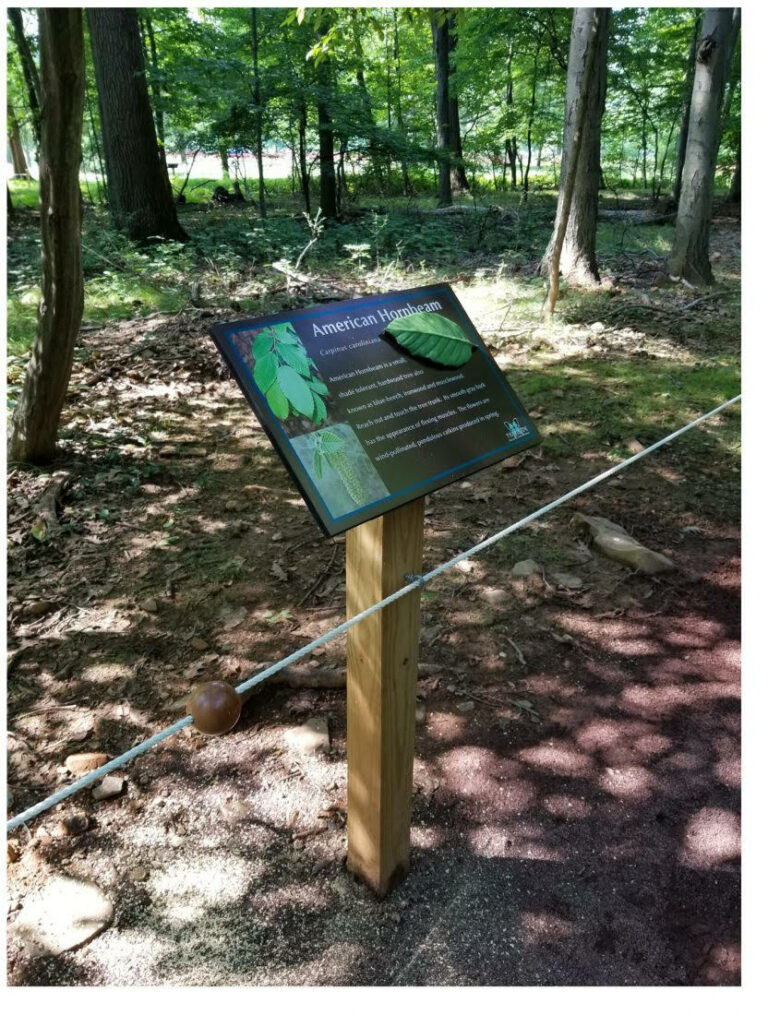 Trails – County of Union, New Jersey