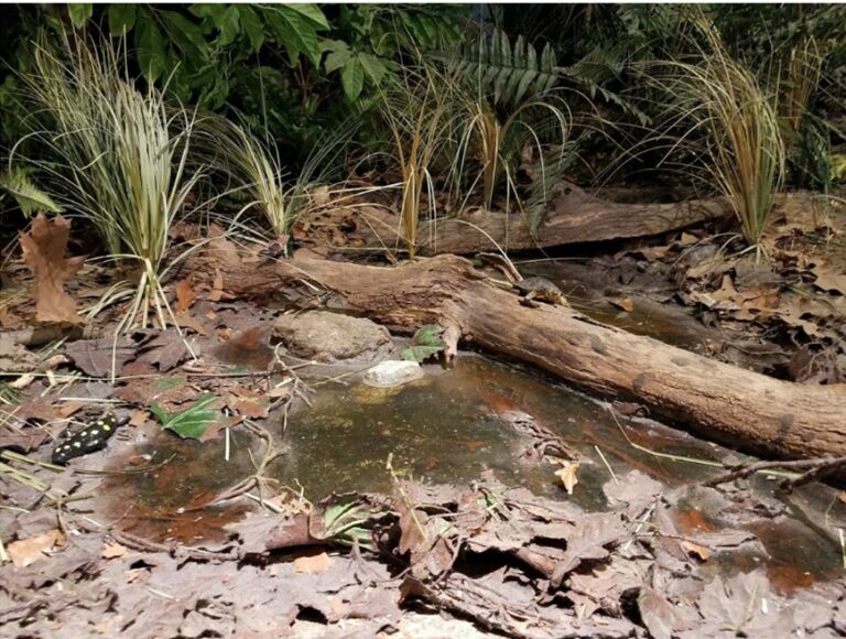 Exhibits – County of Union, New Jersey