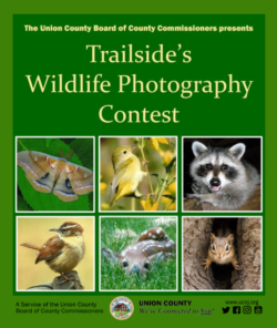 Wildlife Photography Contest Returns to Union County – County of Union ...