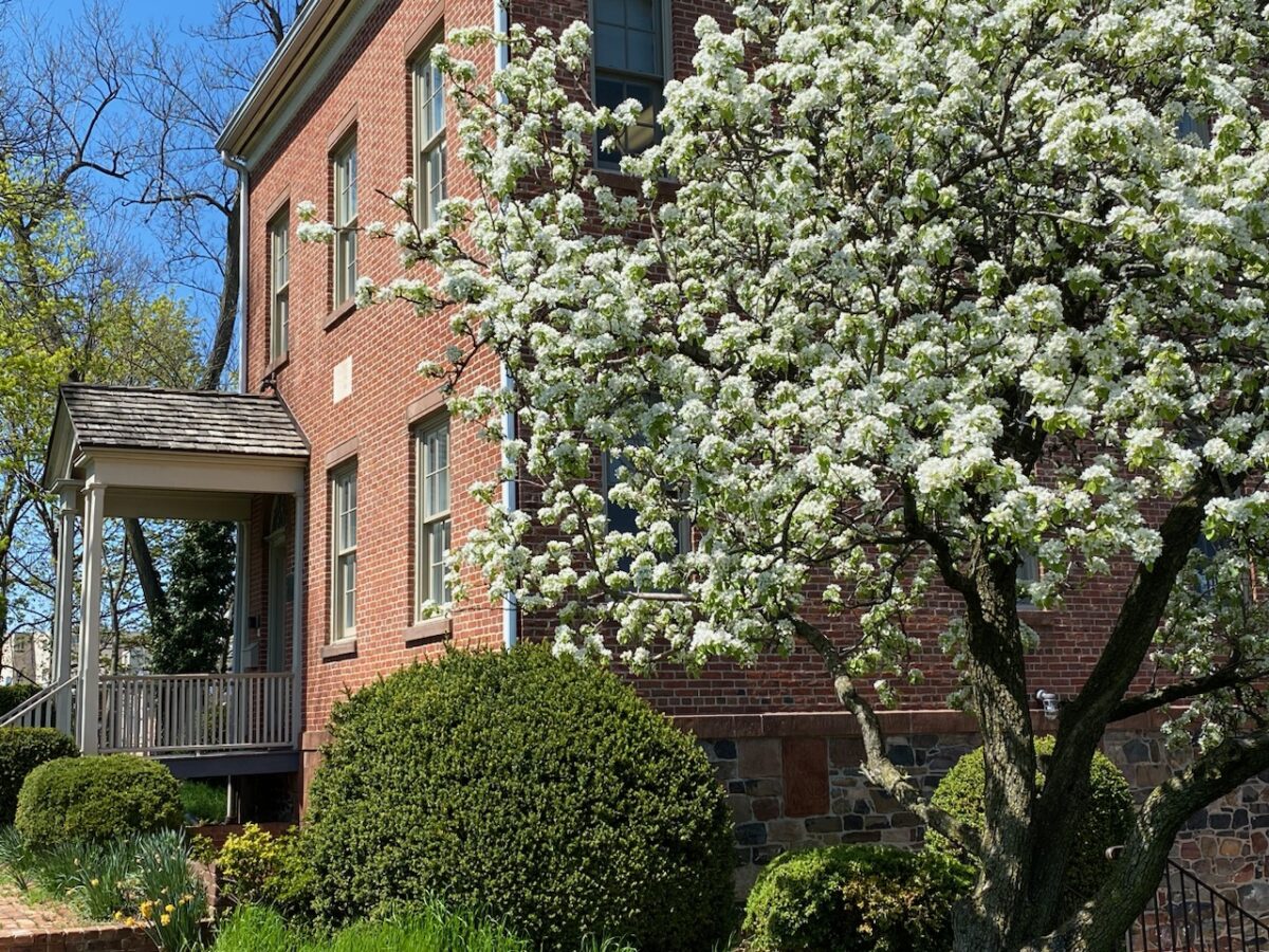 Cultural & Heritage Affairs – County of Union, New Jersey
