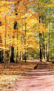 Trails – County of Union, New Jersey