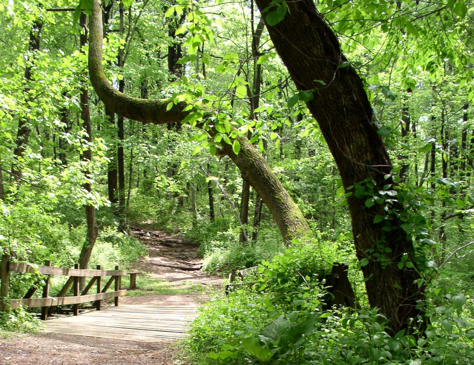 Trails – County of Union, New Jersey