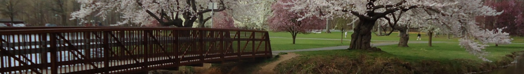 Department of Parks and Recreation – County of Union, New Jersey